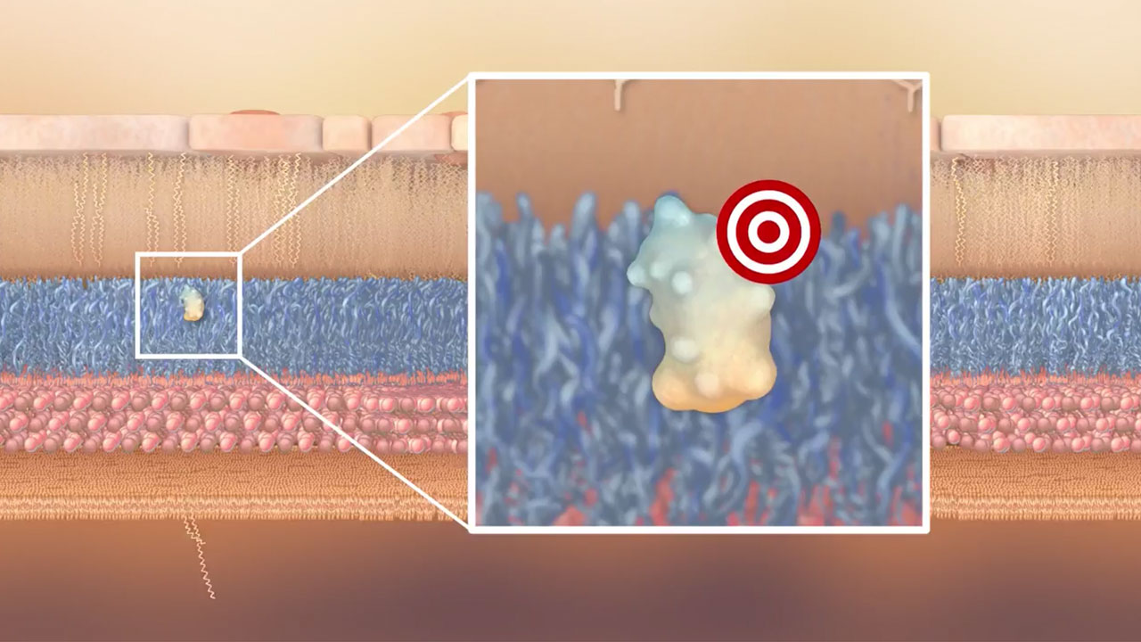 Five ways to target TB - TB Alliance | Putting science to work for ...